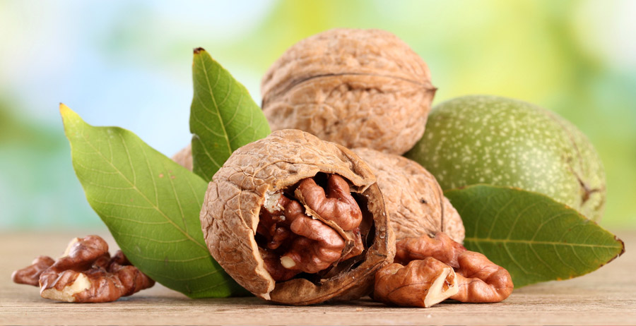 Poindexter Nut | Walnuts, Custom Pastuerization, Organic & More....
